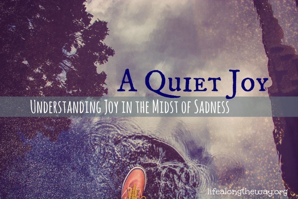A Quiet Joy - Life Along the Way